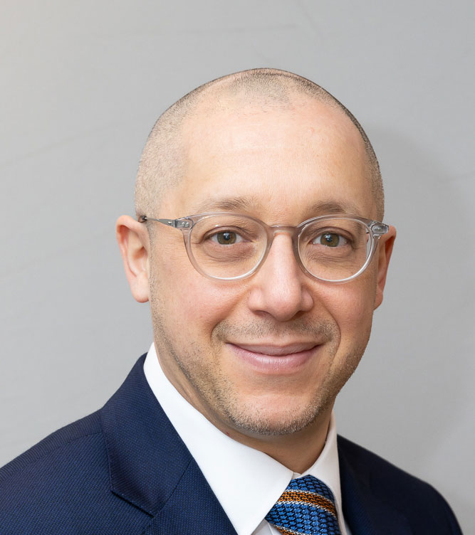 Vitek Frenkel Forensic Accountant